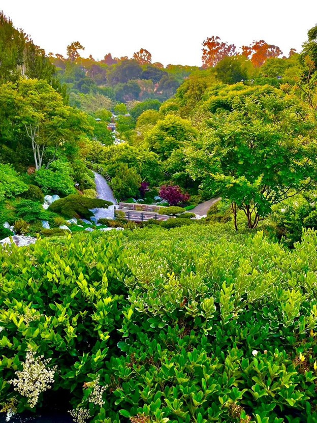 MKR Prodigal Daughter Christian Perspectives From a Prodigal ...