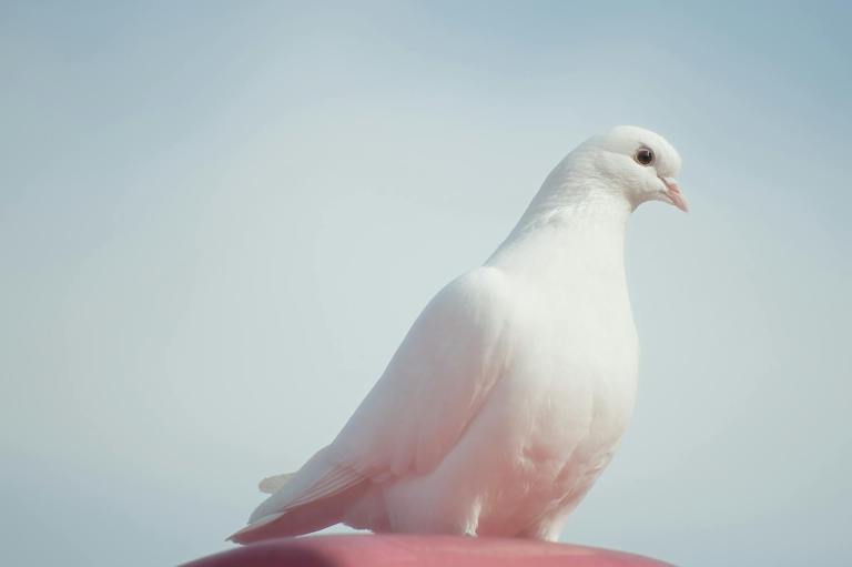 The Holy Spirit Spoke to Me – MKR Prodigal Daughter Christian ...